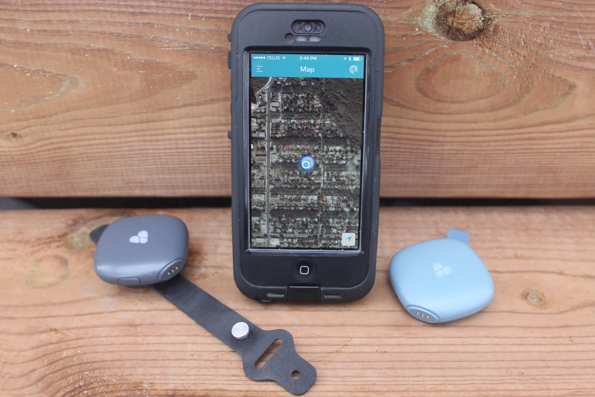 Review: Findster Duo Plus offers fee-free GPS pet-tracking