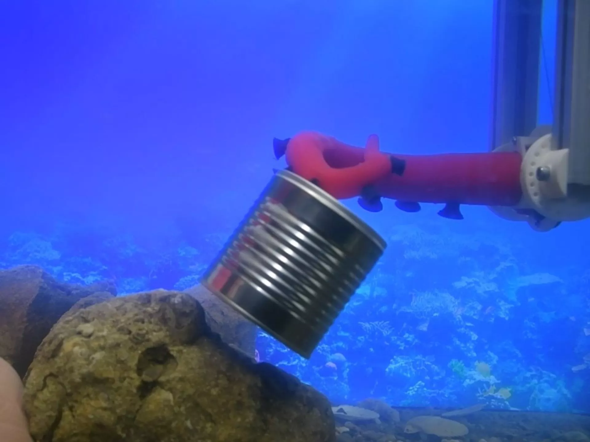 Octopus robot arm mimics suckers for underwater exploration