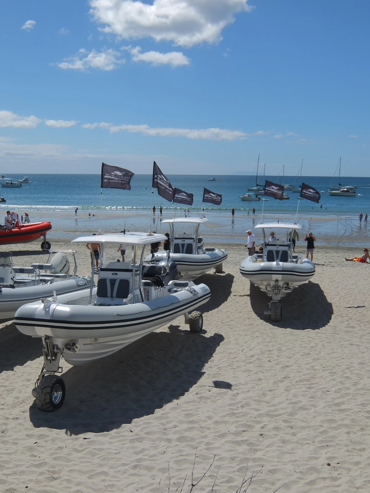Sealegs begins licensing its amphibious drive system to boat builders ...