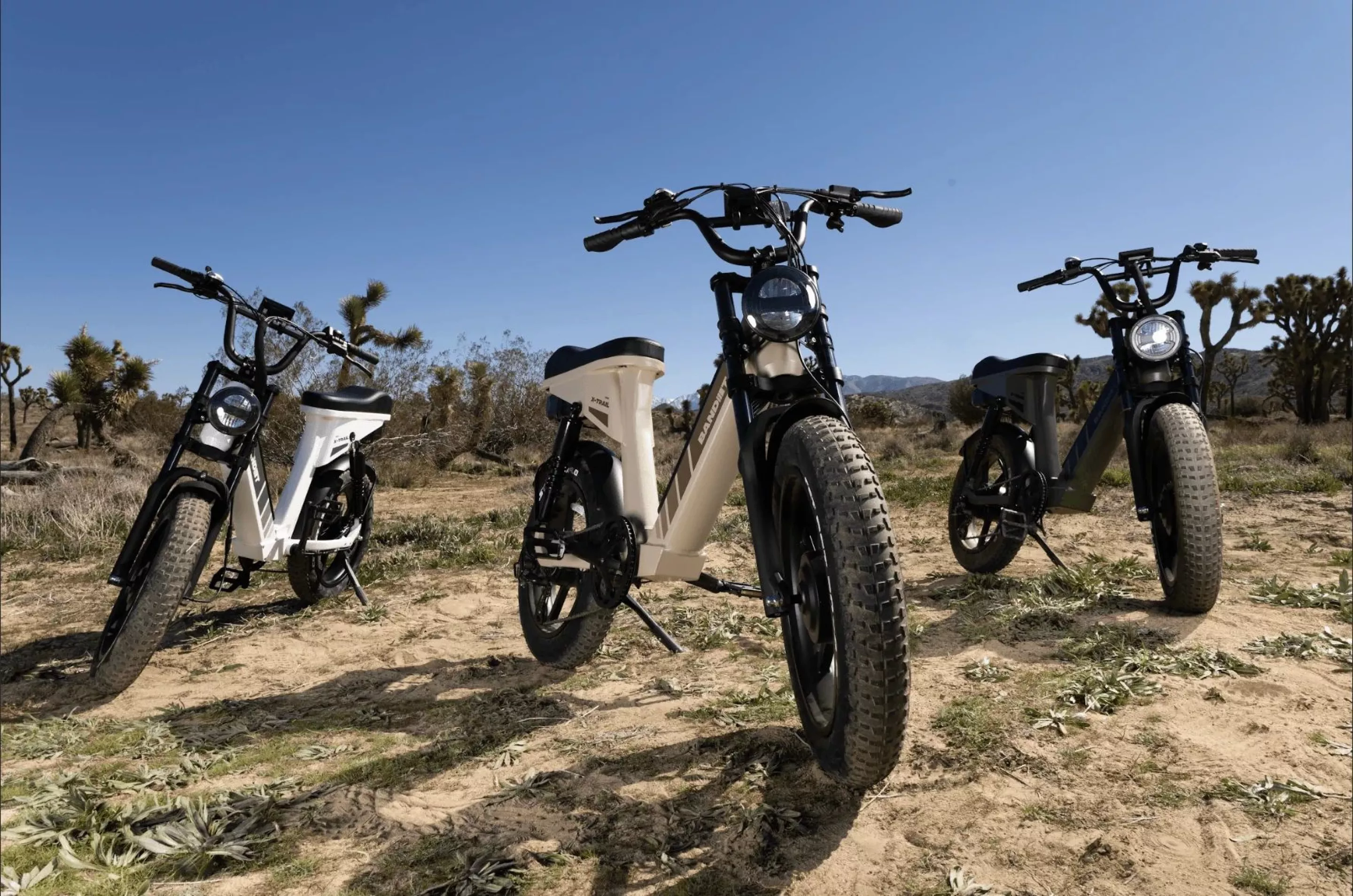 Dual-battery, AWD trail monster rides the line between ebike and moped