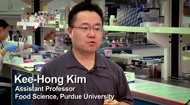 Compound found in red wine could help fight obesity