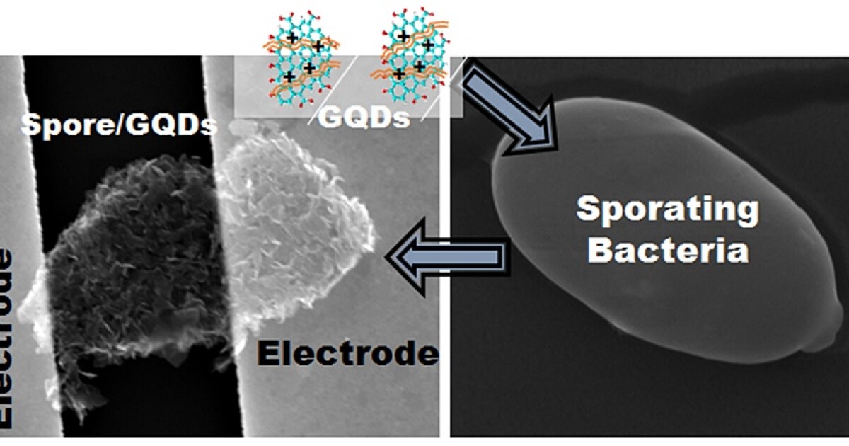 Robobug: Scientists clad bacterium with graphene to make a working cytobot