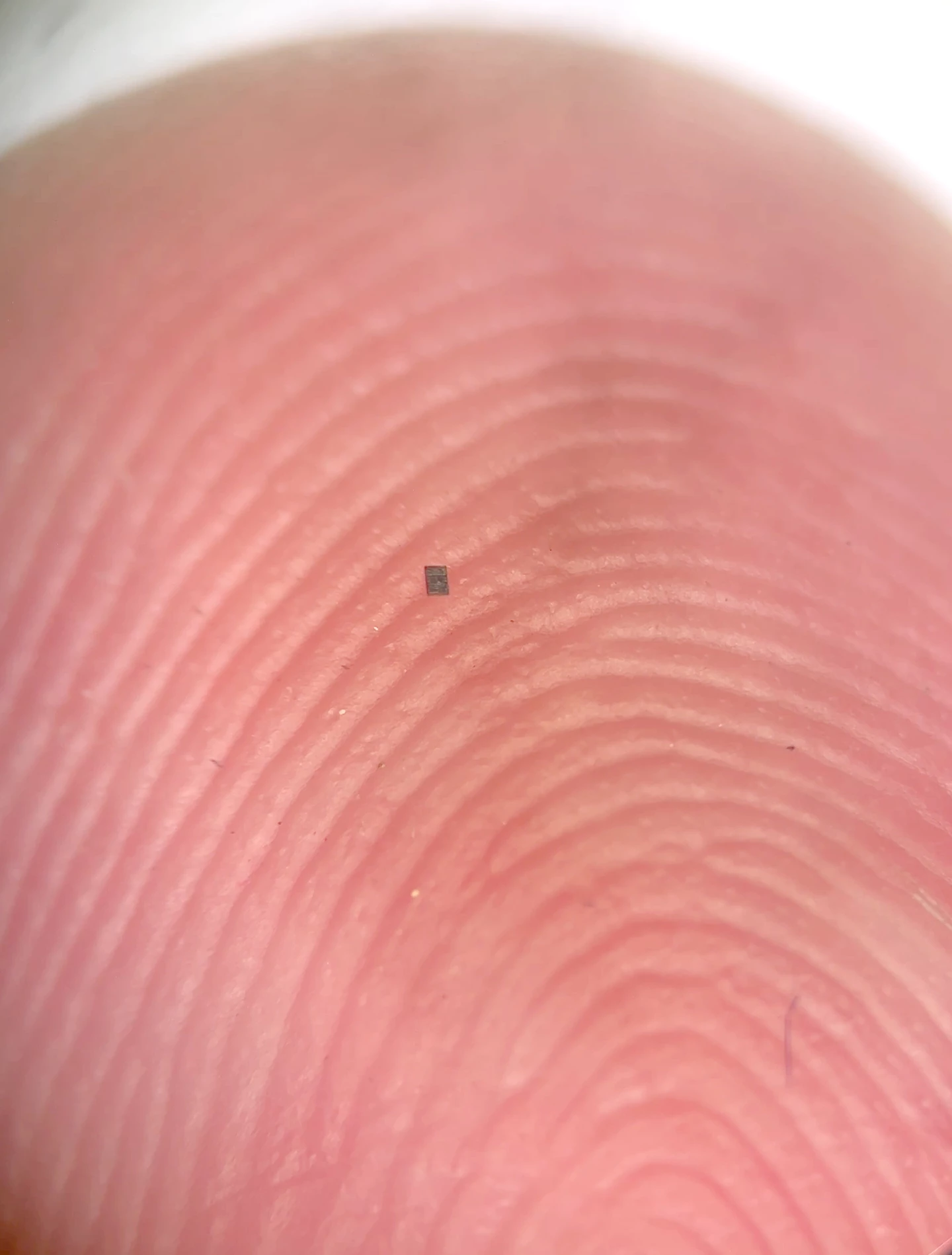 World S Smallest Autonomous Robots Could Save Lives