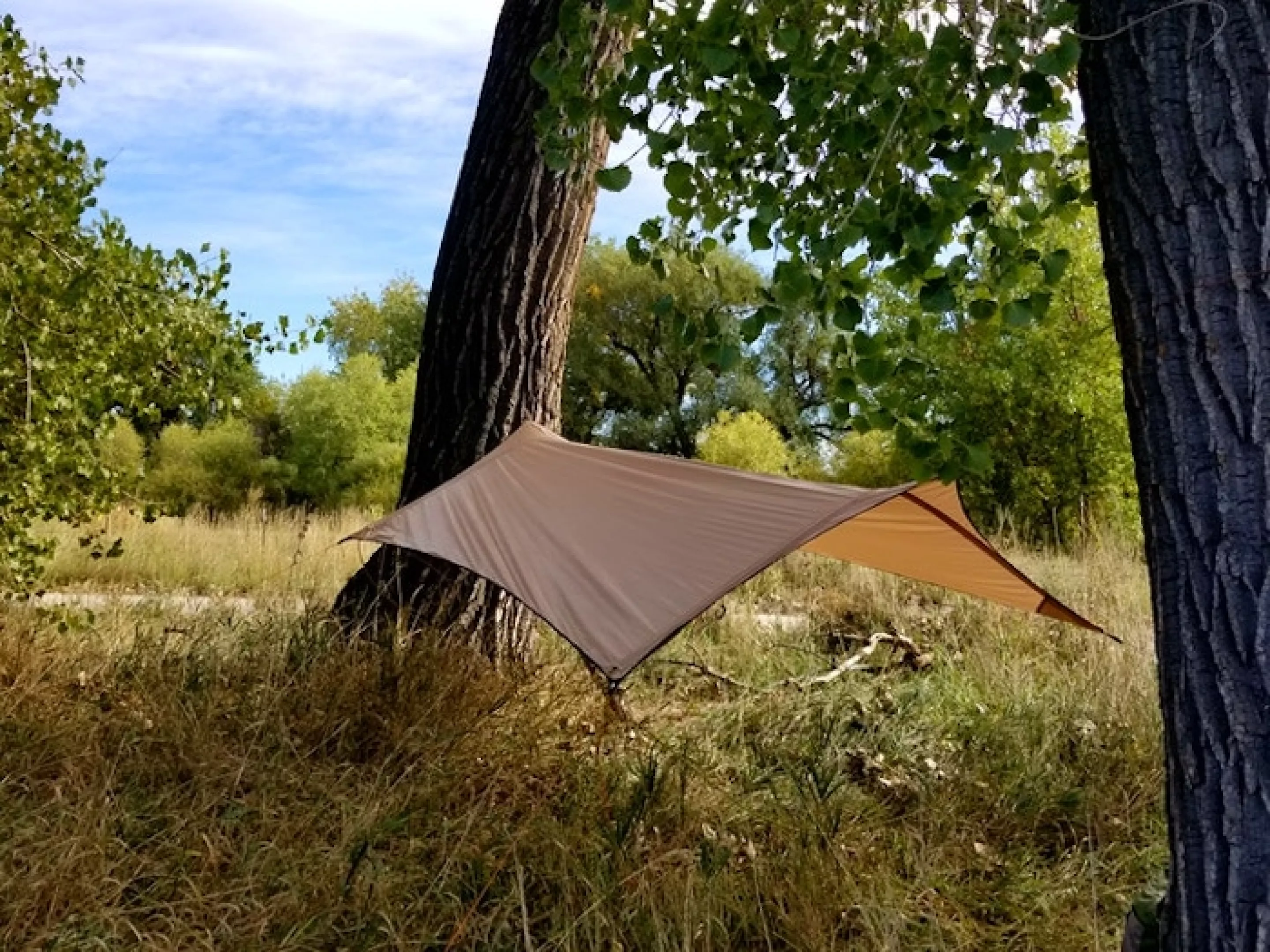 Multifunctional hammock moonlights as a tent or awning