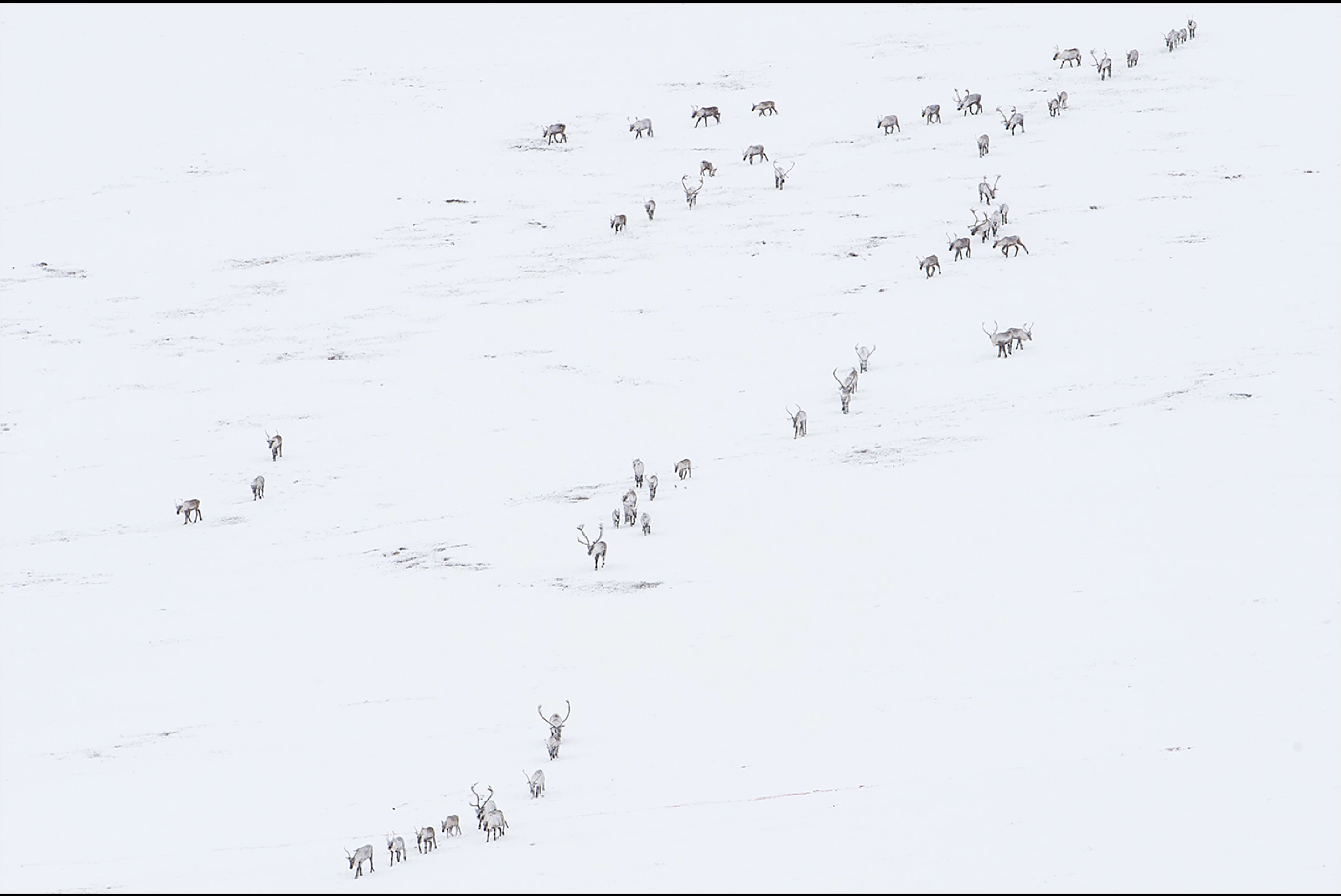 Gallery: Astonishing images of the natural world in the 2019 BigPicture ...