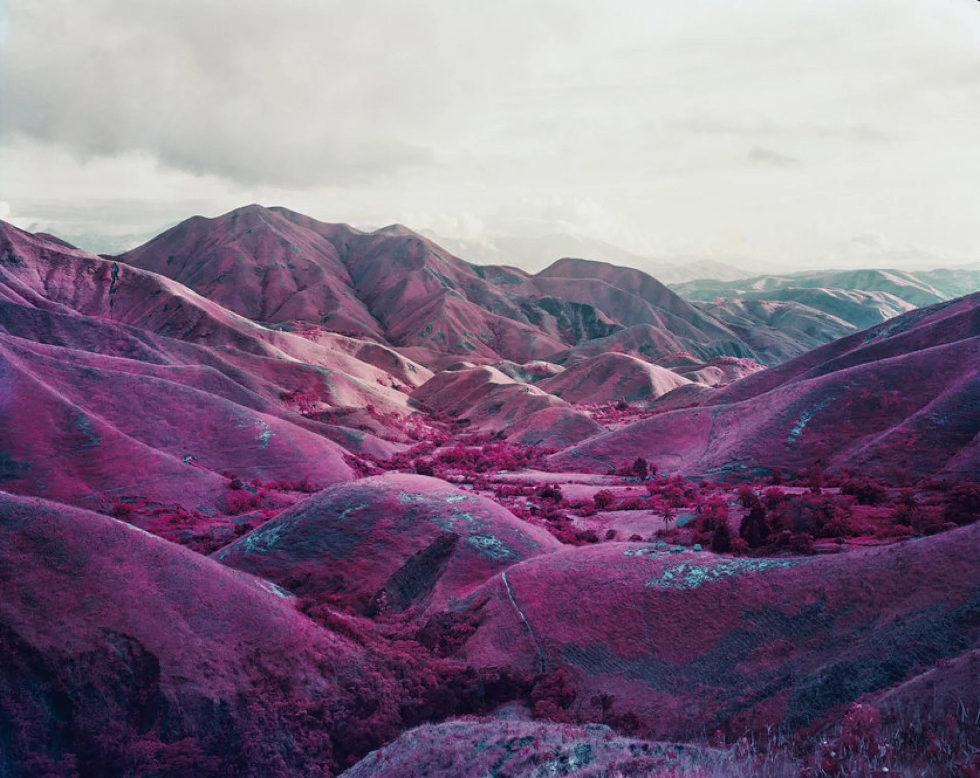 Gallery: The surreal and psychedelic art of infrared photography