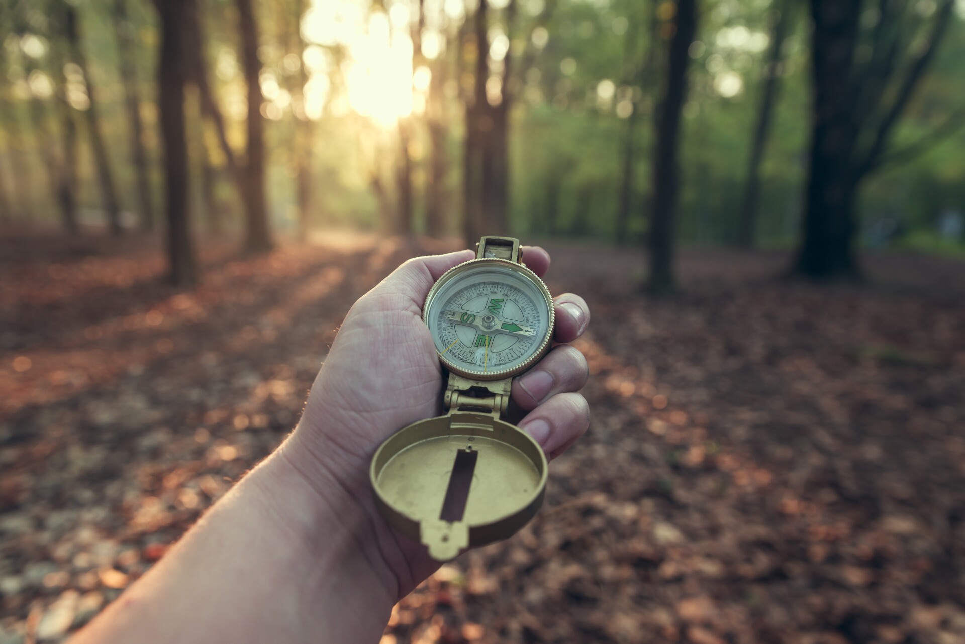 Poor Sense Of Direction Blame Your Brain Compass