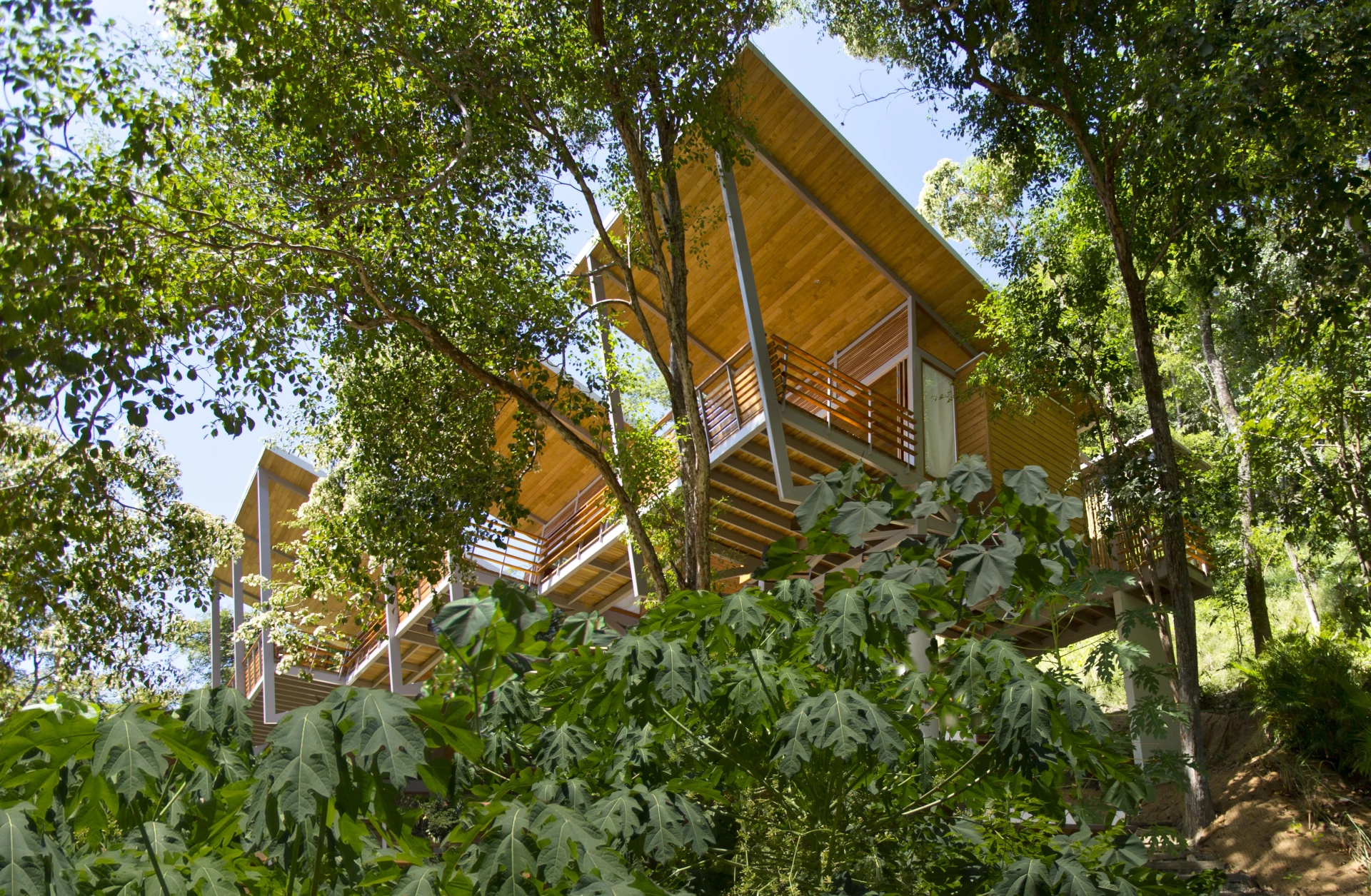 Casa Flotanta "floats" above a Costa Rican hillside