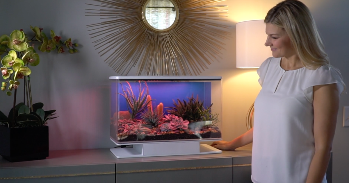 App-controlled terrarium puts on a sound and lightning show