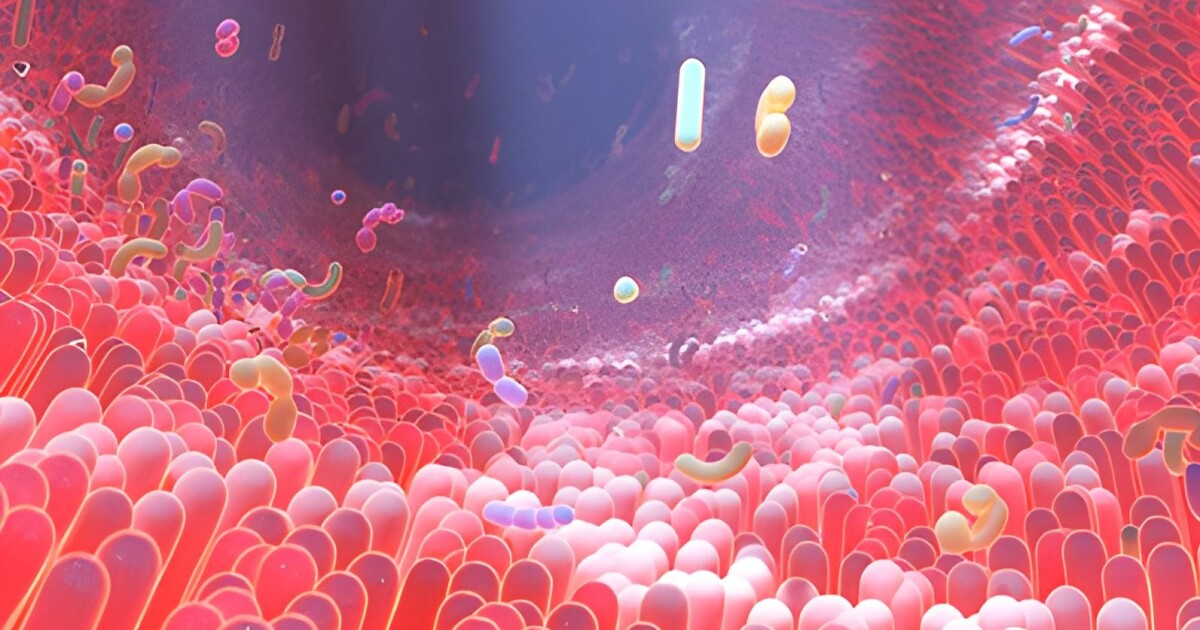Typical nutrient turns our guts into diabetes-fighting chemical ...