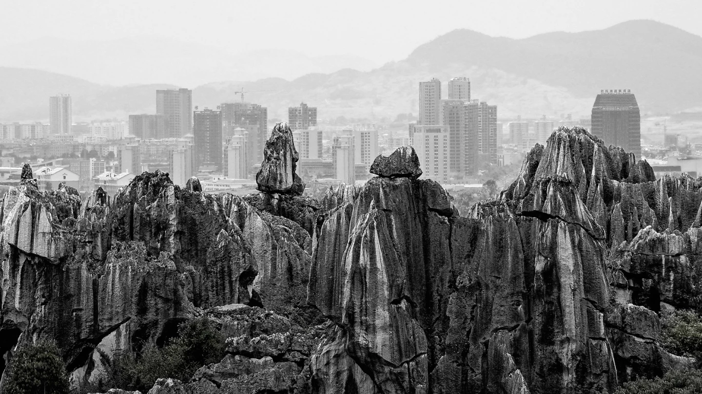 Gallery: Extraordinary winners from the 2019 Sony World Photography Awards