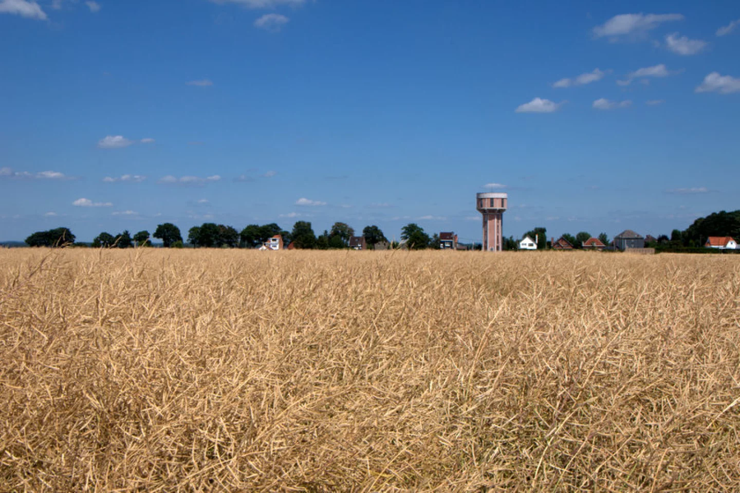 WWII water tower renovated into family abode