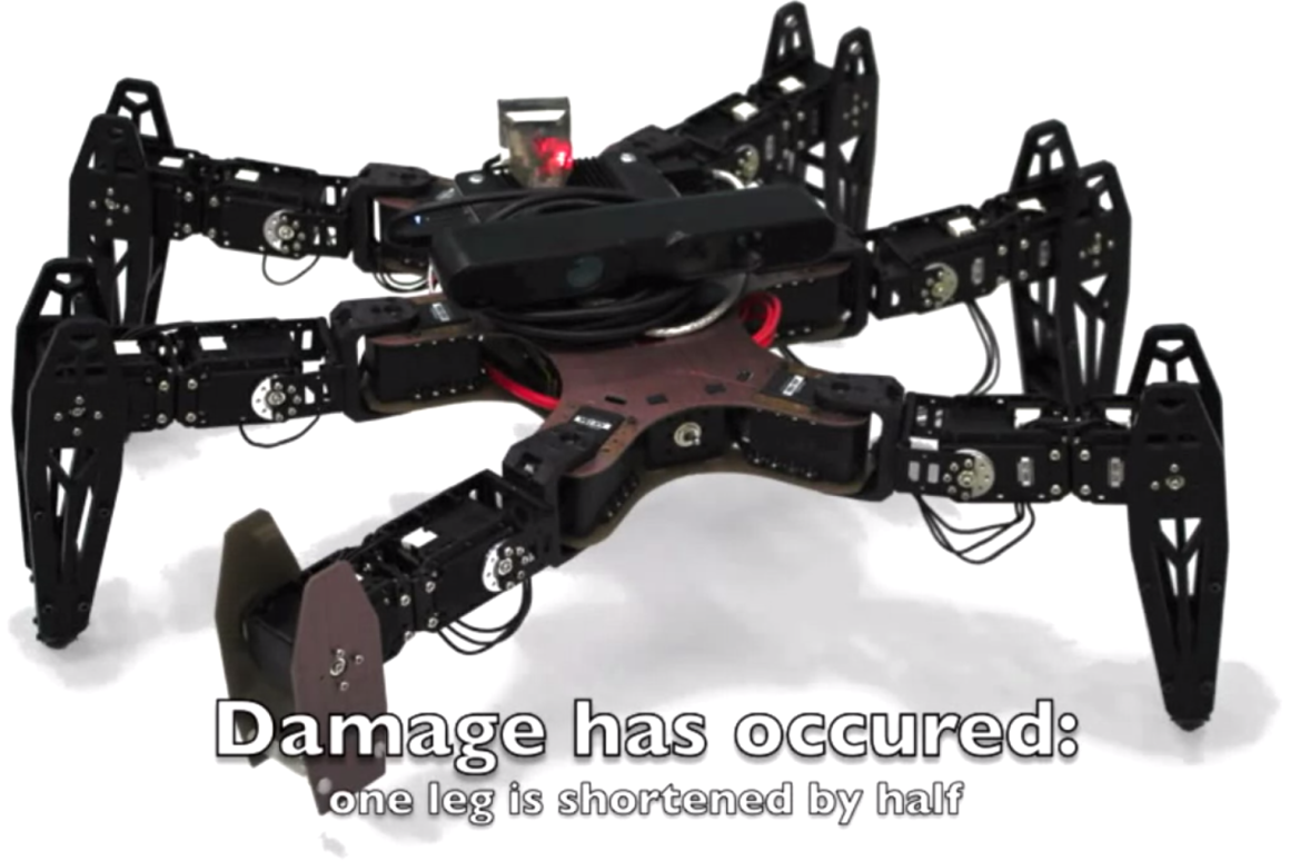 Six-legged robot loses a leg, thinks about it, trundles on regardless