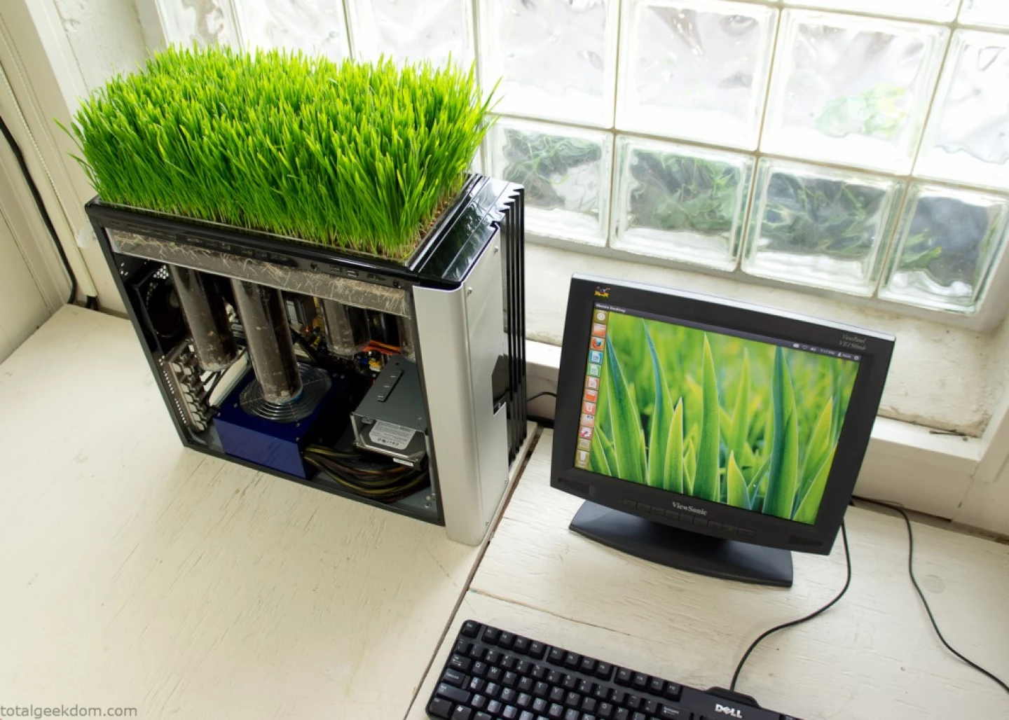 Home-built "Bio Computer" runs Linux, grows wheatgrass