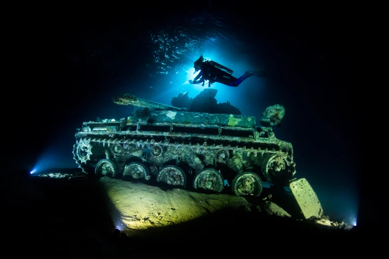 The best of the 2021 Underwater Photographer of the Year Awards