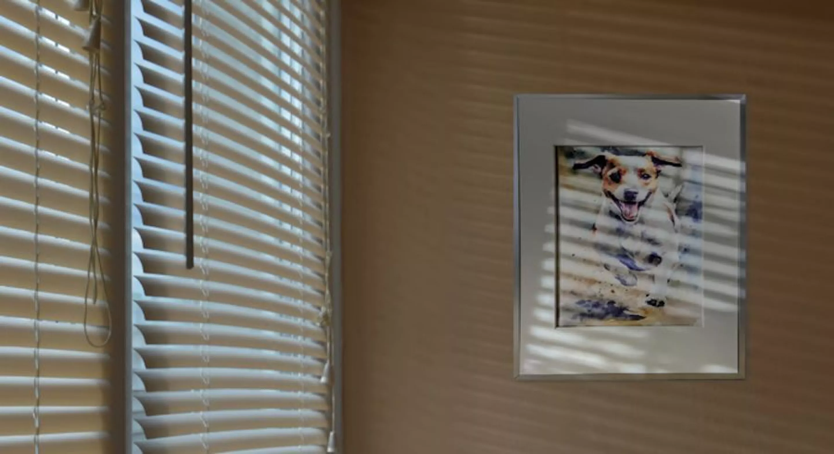 Color E Ink picture frame updates room art with a tap