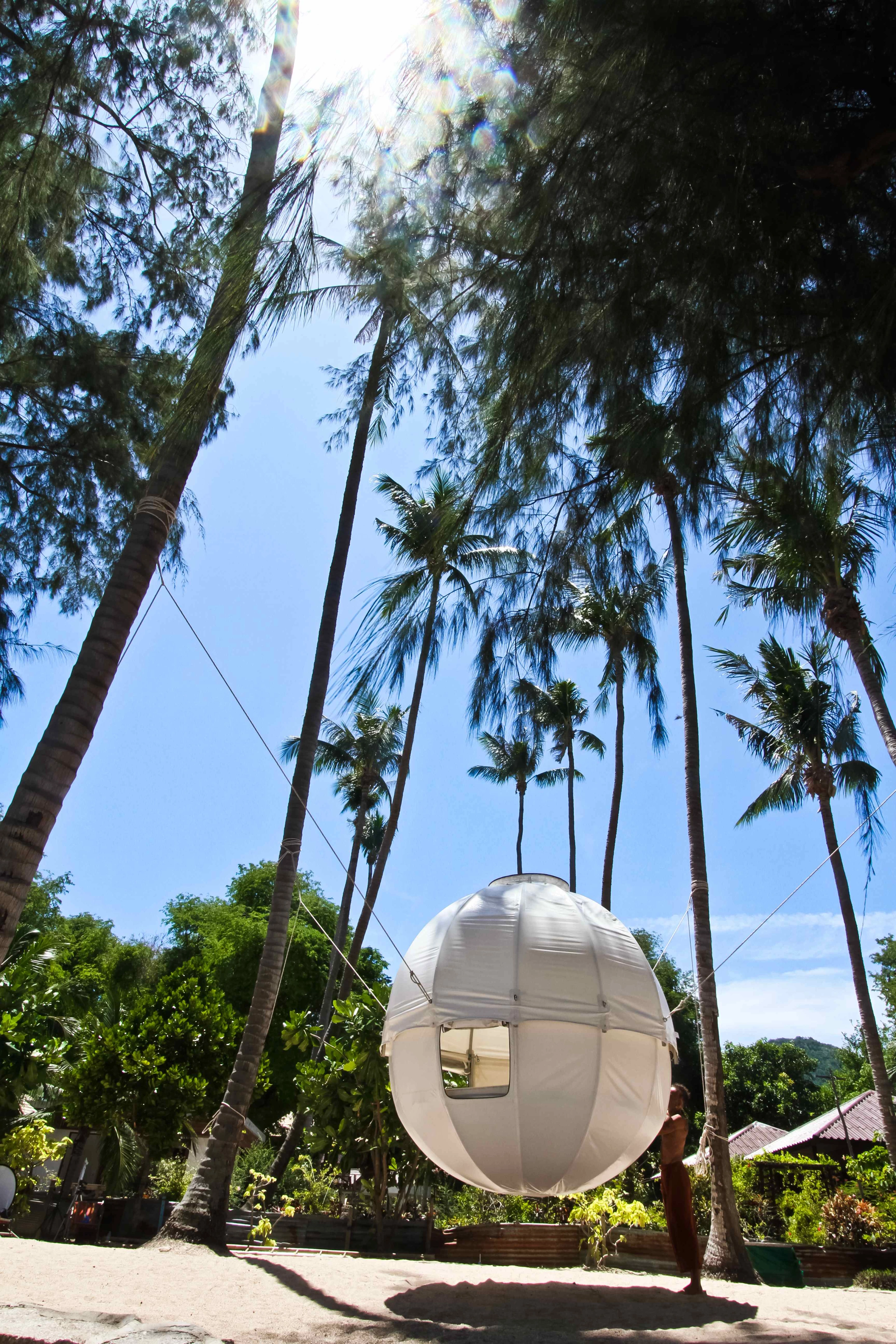 Nest with the birds in your very own Cocoon Tree