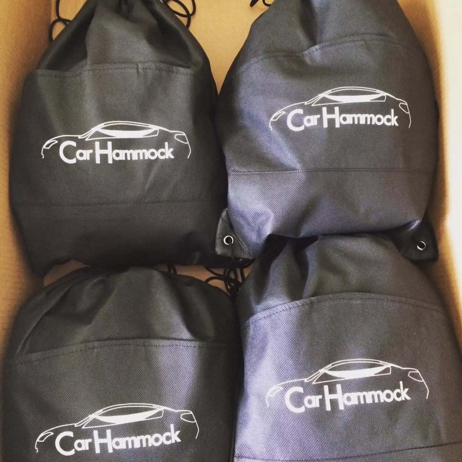 Car Hammock turns your automobile into a suspended camping lounge