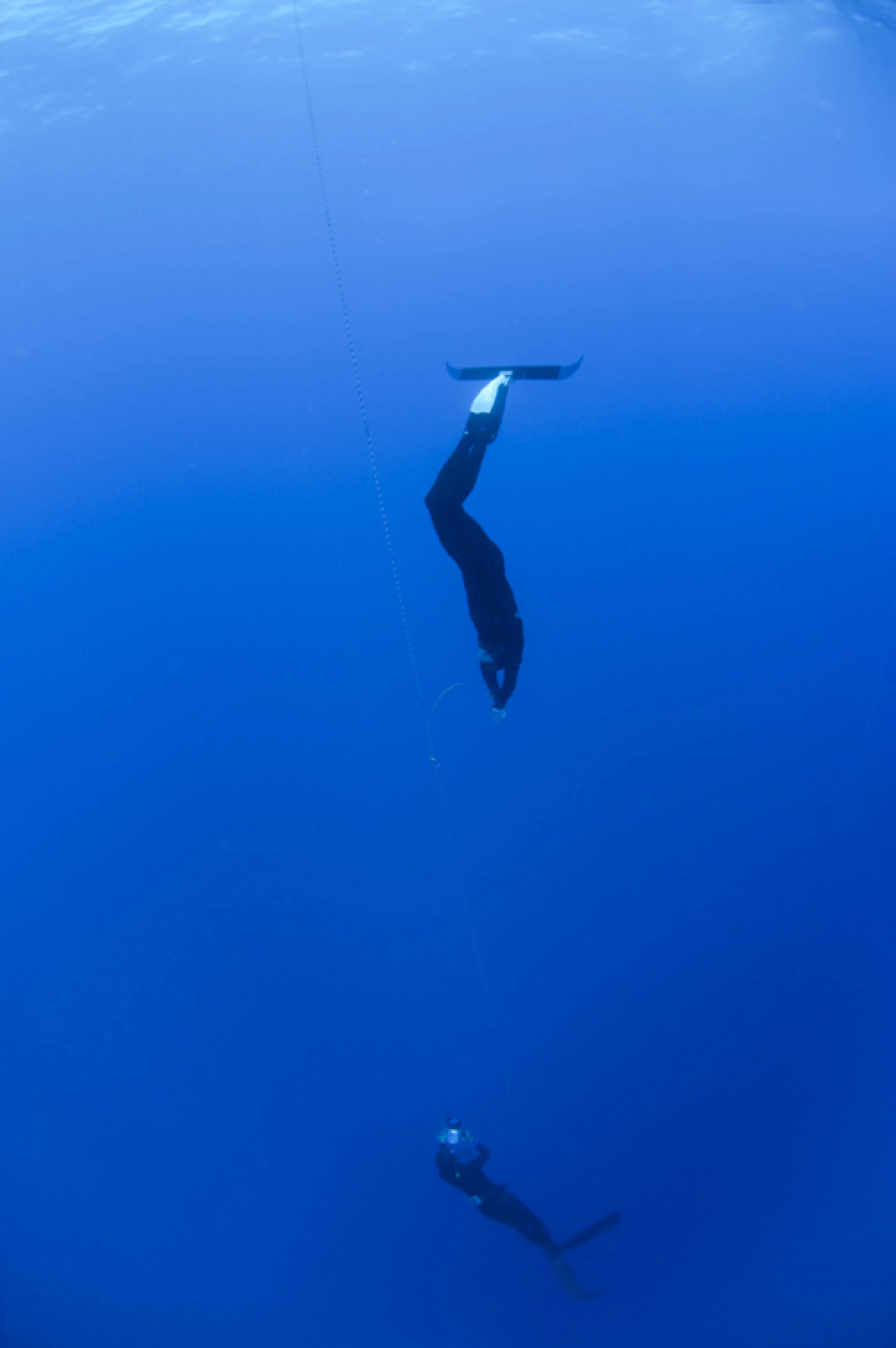 DOL-Fin is designed to let you swim like a dolphin