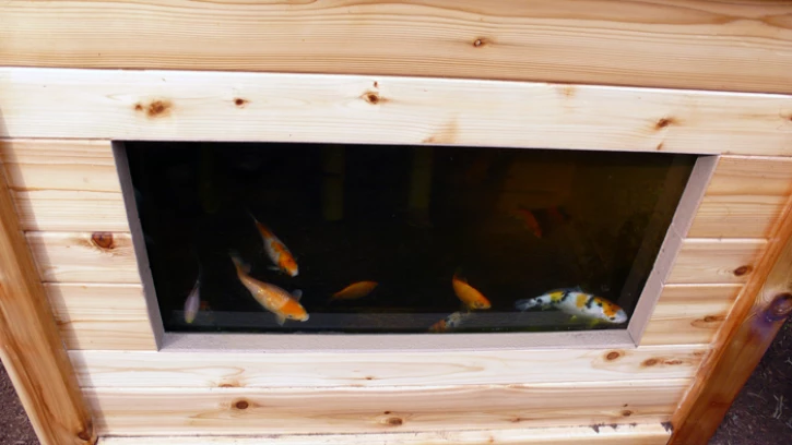 Fishy Farm combines horticulture, aquaculture, and vermiculture