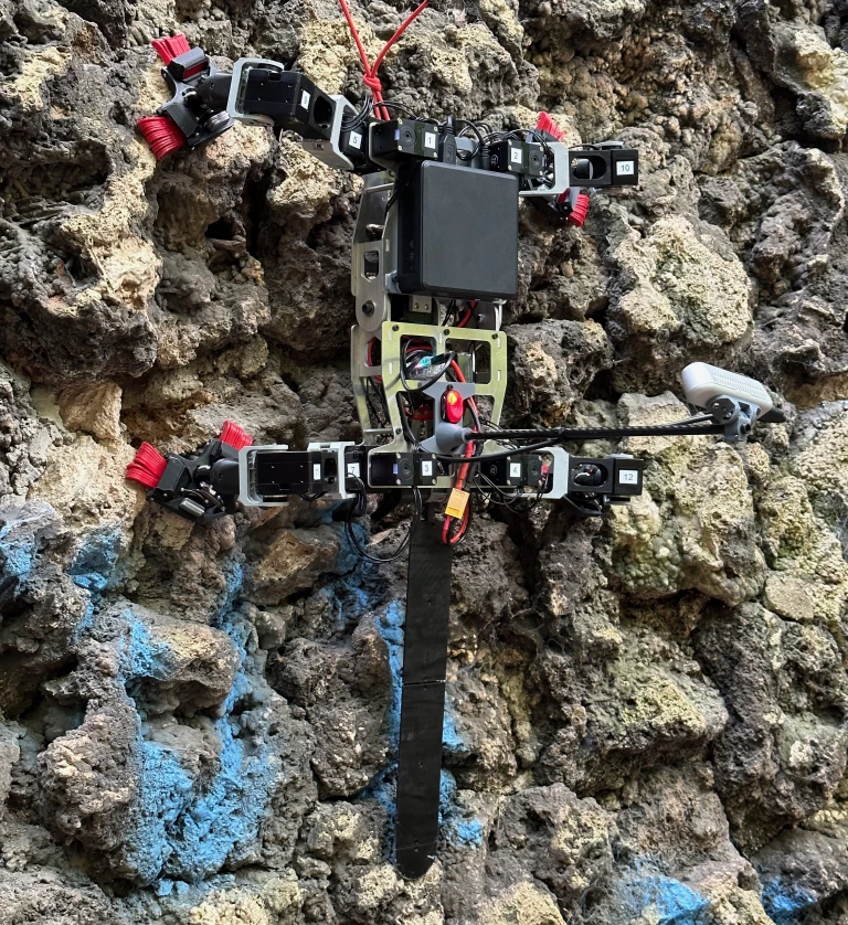 Rock-climbing robot scales rough walls with bio-inspired grippers