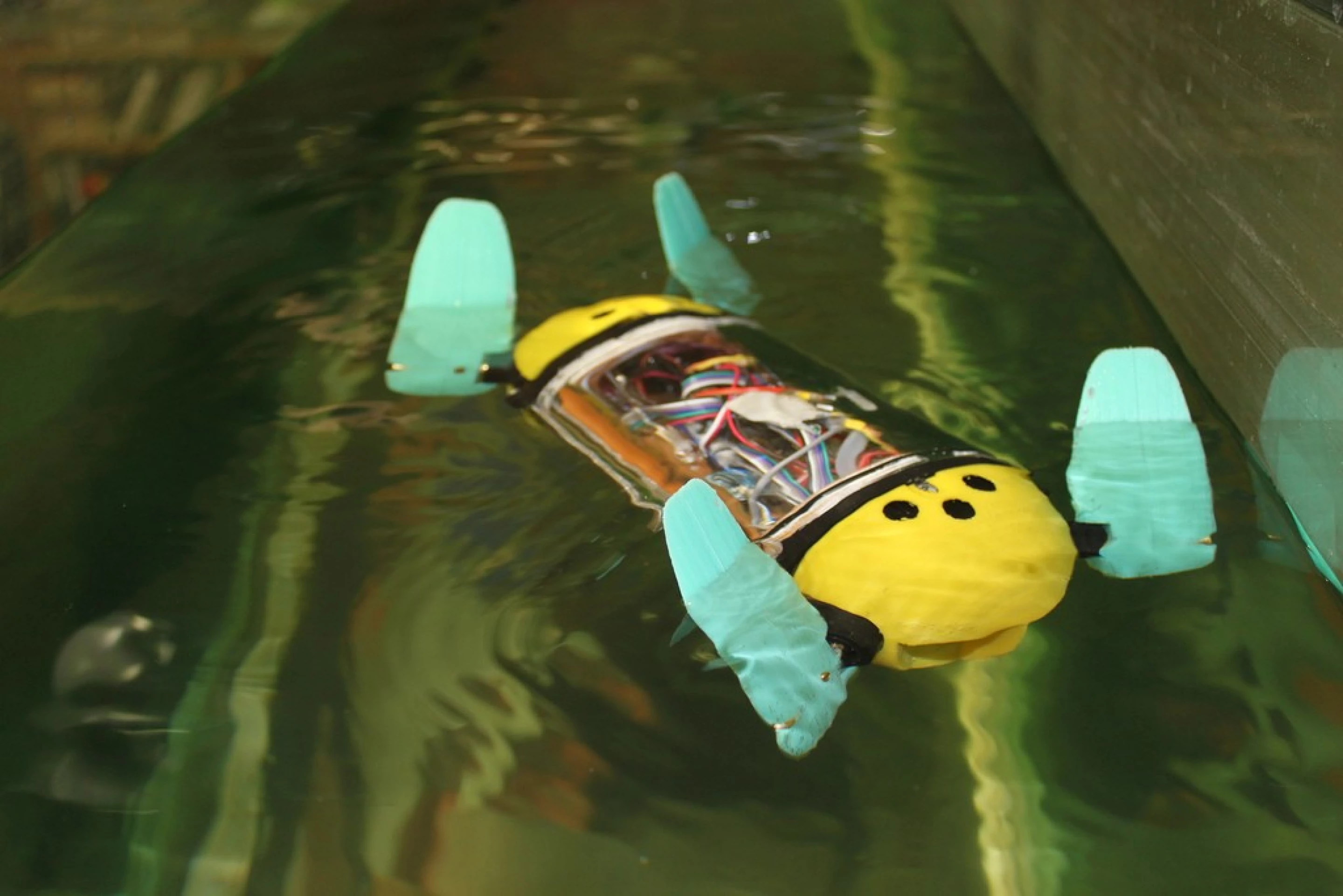 Robotic sea turtle shows promise as fish farm inspector