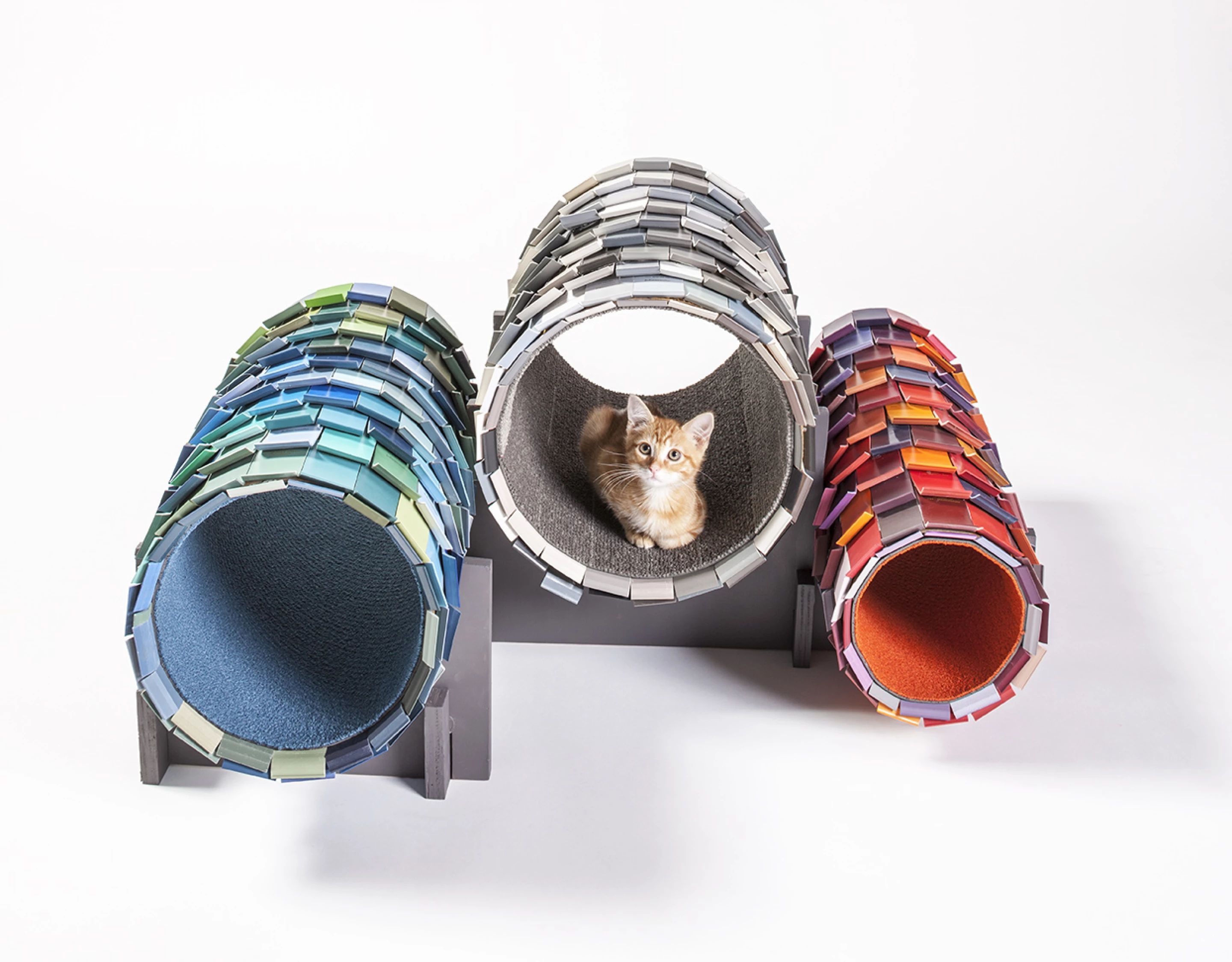 Cutting edge architecture ... for cats