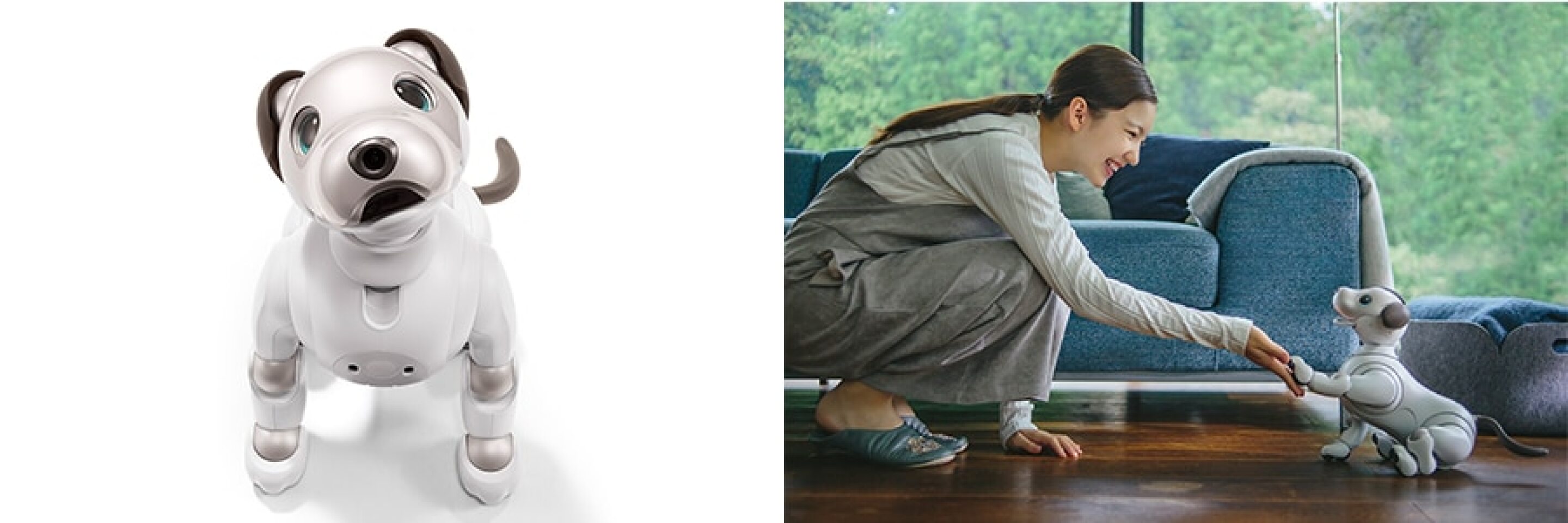 Sony revives adorable robot canine companion