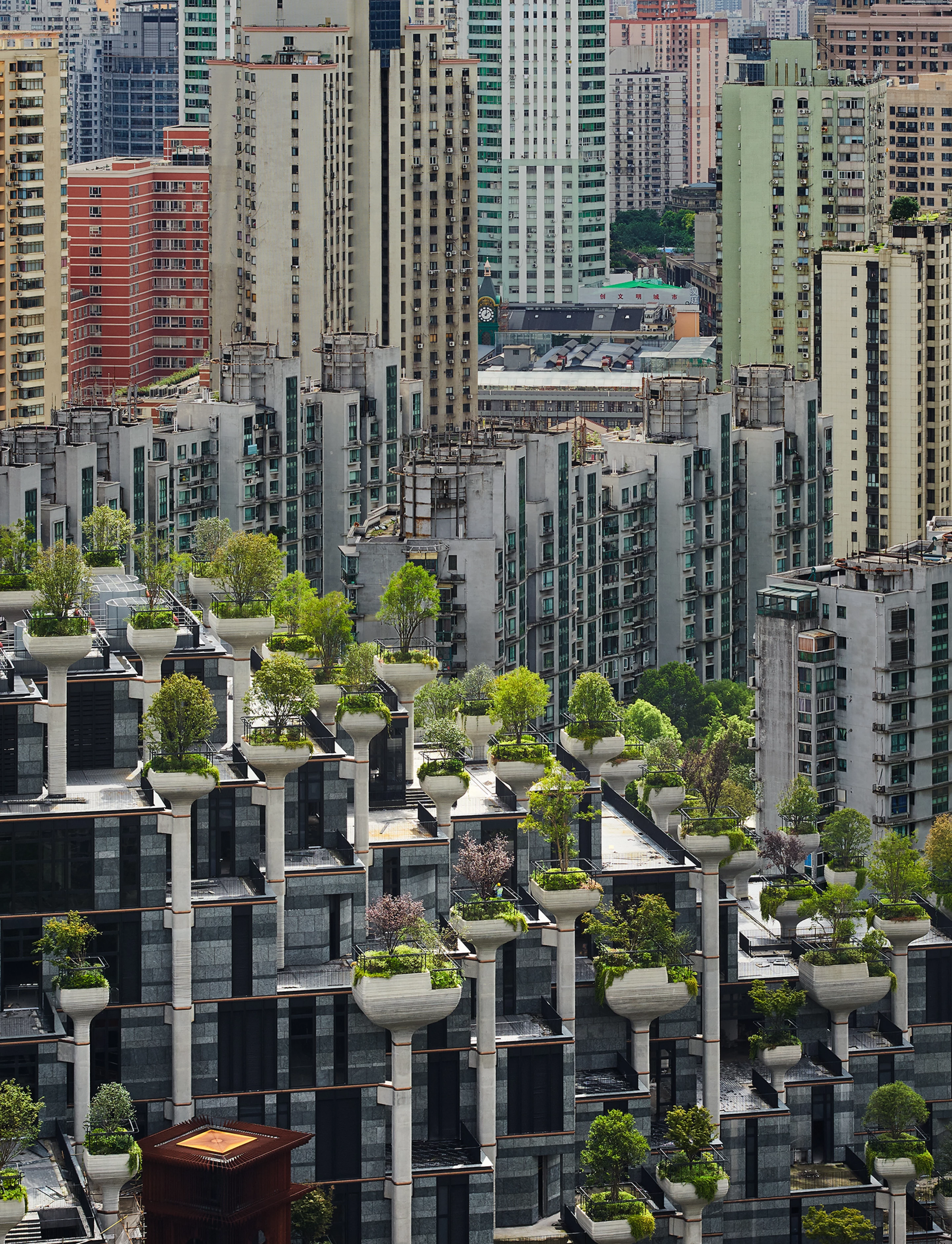 Heatherwick Studio's 1000 Trees project takes root
