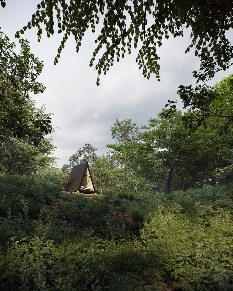 Easy to assemble A-frame cabin goes up in a long weekend