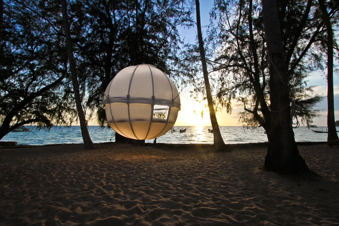 Nest with the birds in your very own Cocoon Tree