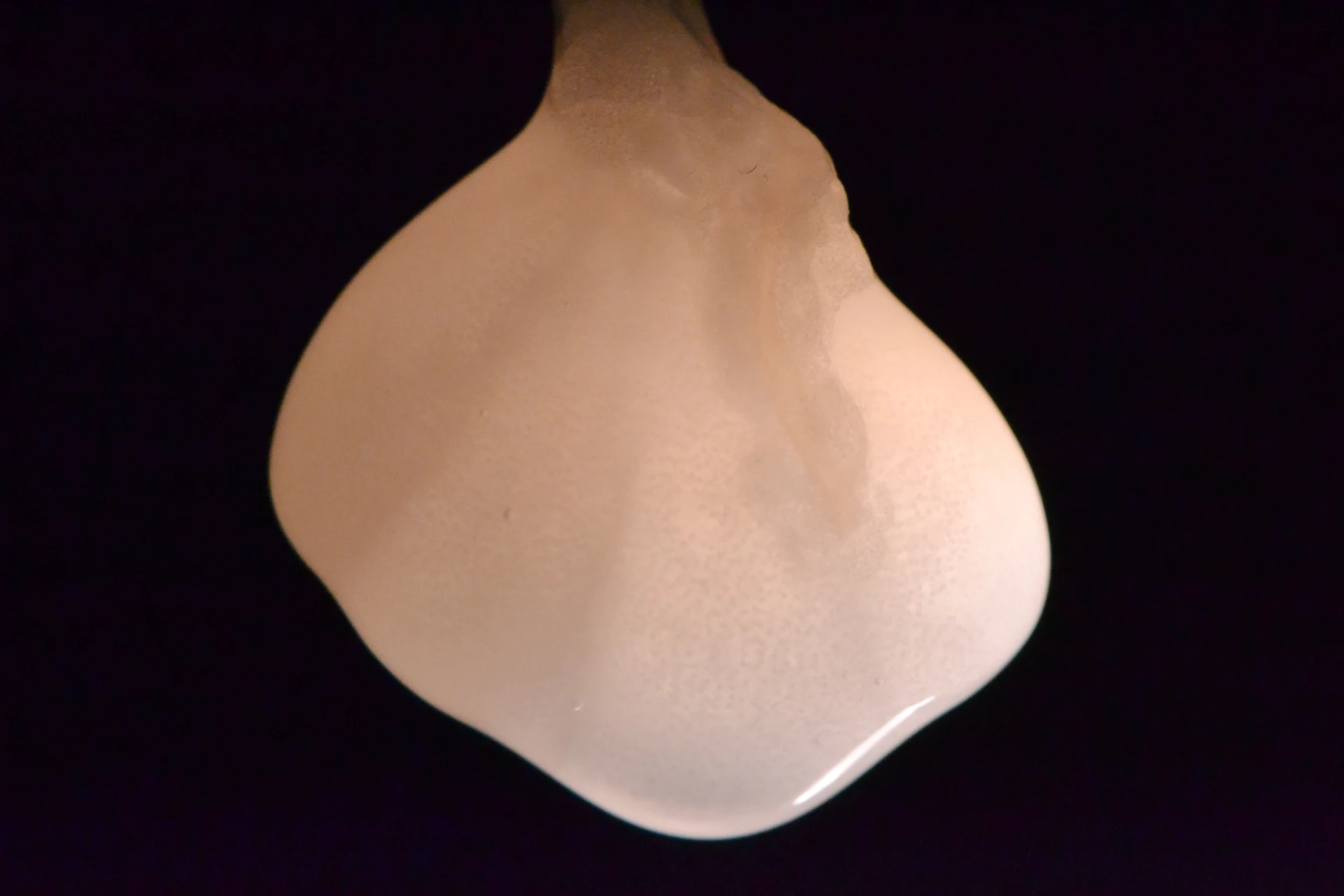 Scientists bioengineer functional, transplantable rat kidneys