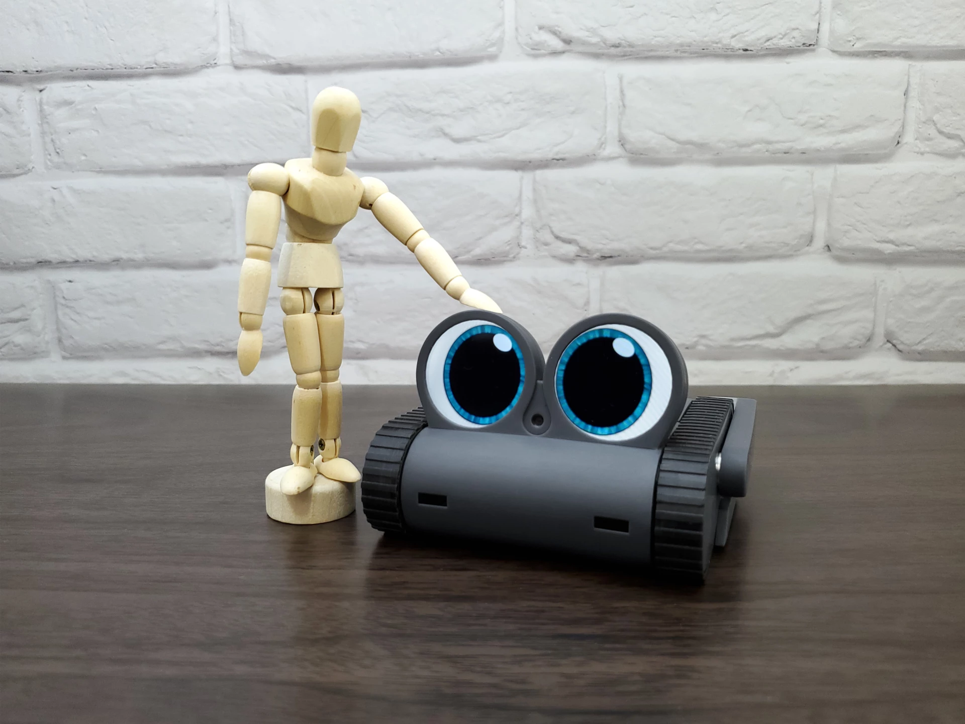 Adorable buddy bot aims for the hearts and minds of future roboticists