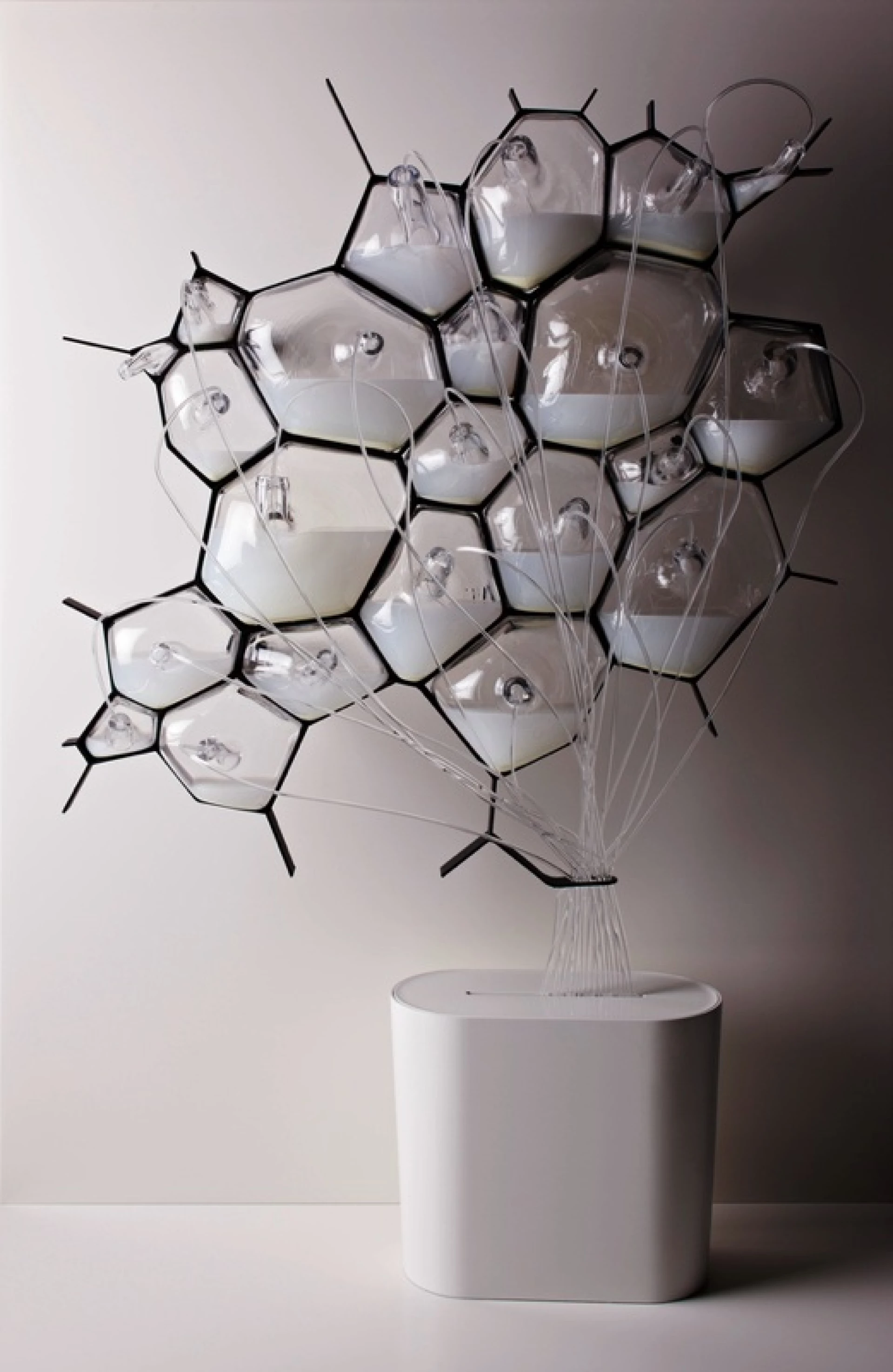 Philips Bio-light concept lights the home using bacteria