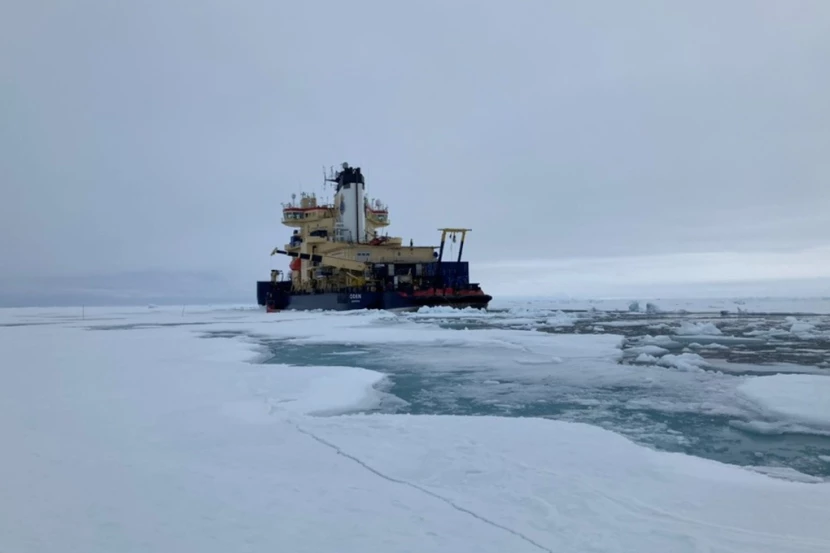 Arctic microbes fix nitrogen under sea ice, fueling ocean life
