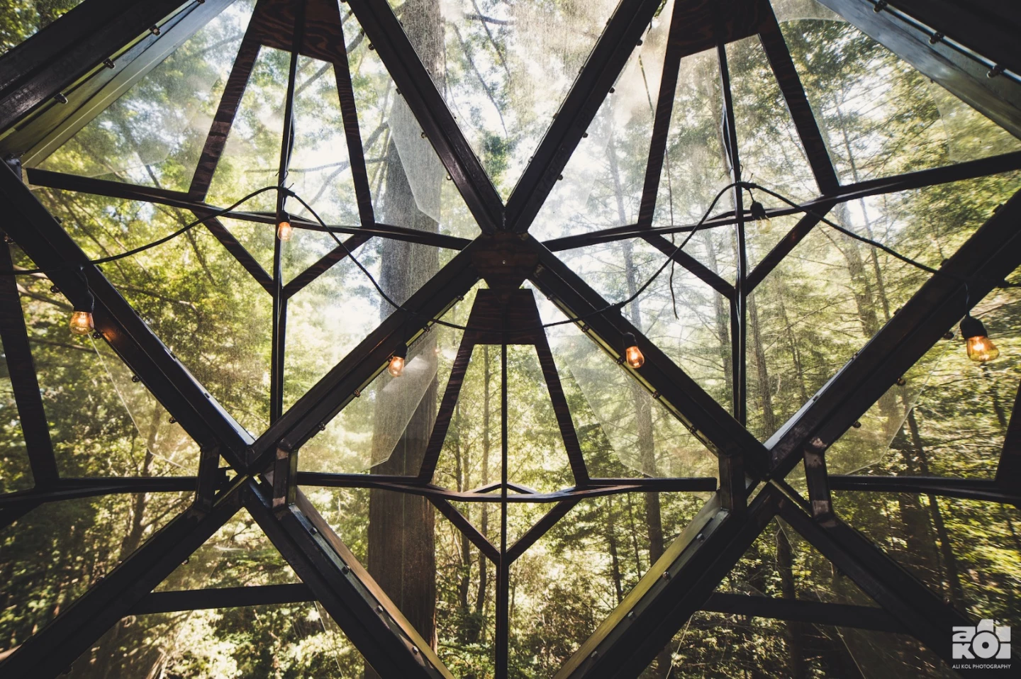 Fantastic Pinecone Treehouse hangs high in the forest