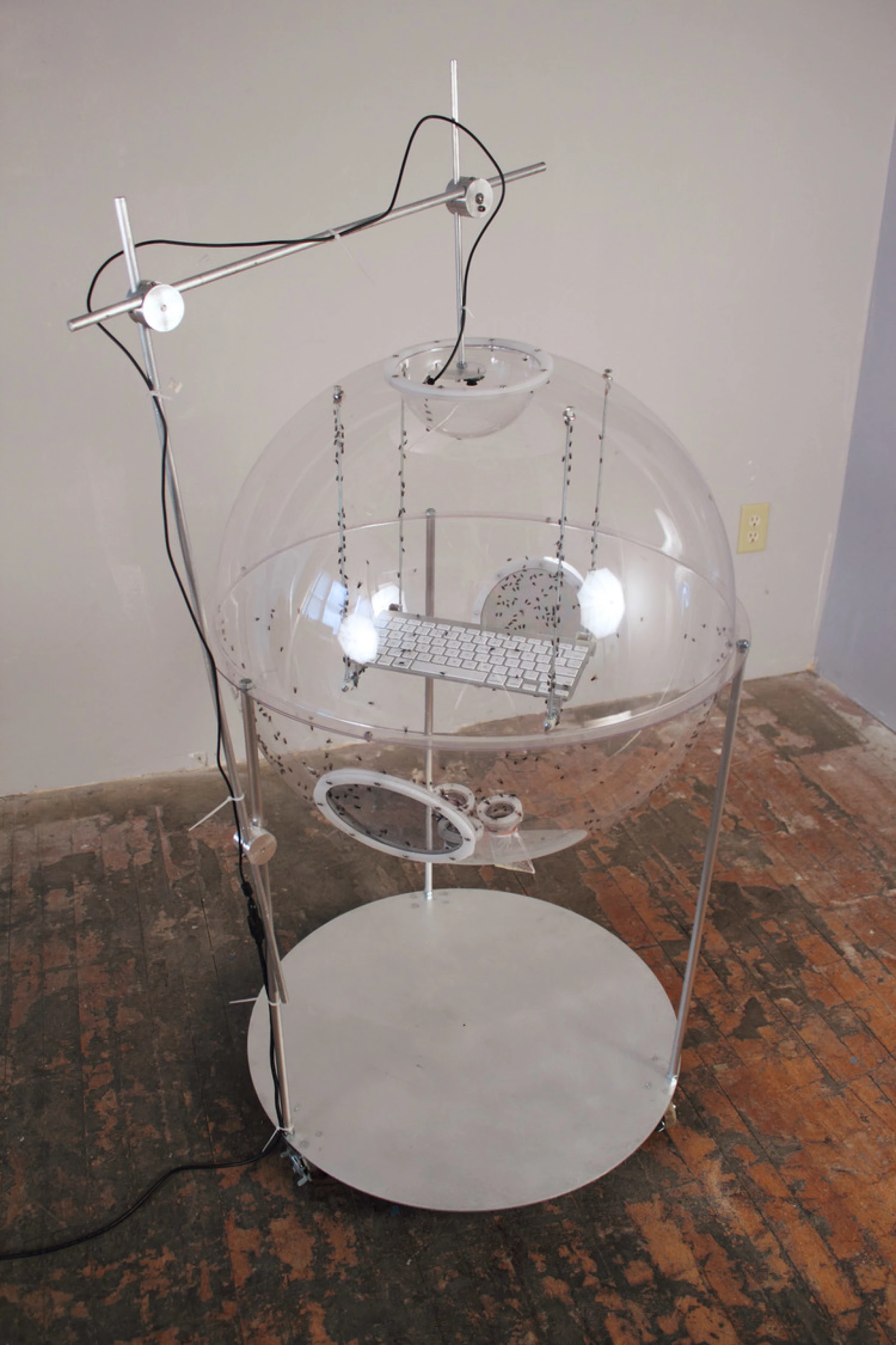 Meet the artist giving control of machetes to plants & guns to flies