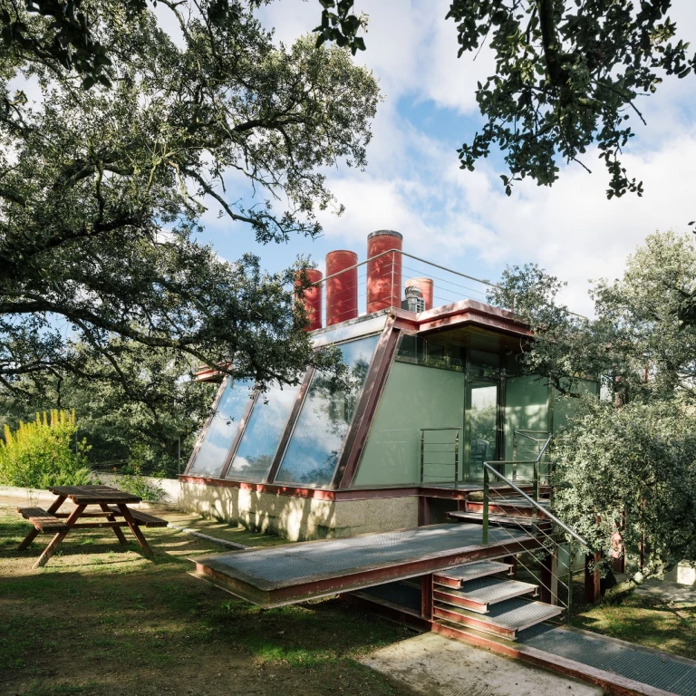 Unusual glass house makes room for nature