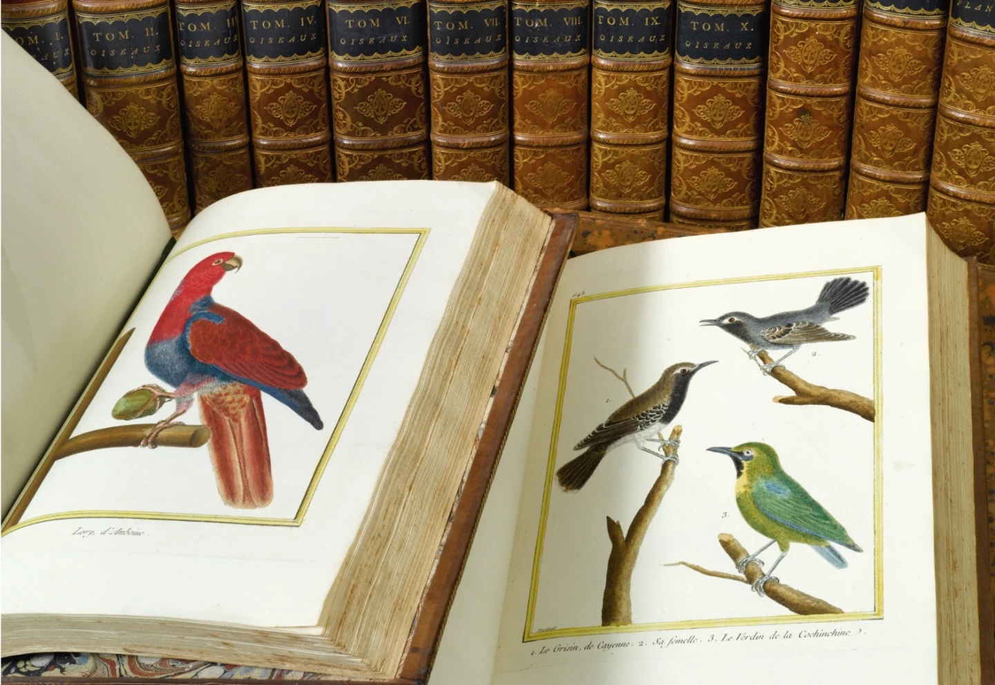 The 50 most valuable scientific documents of 2016