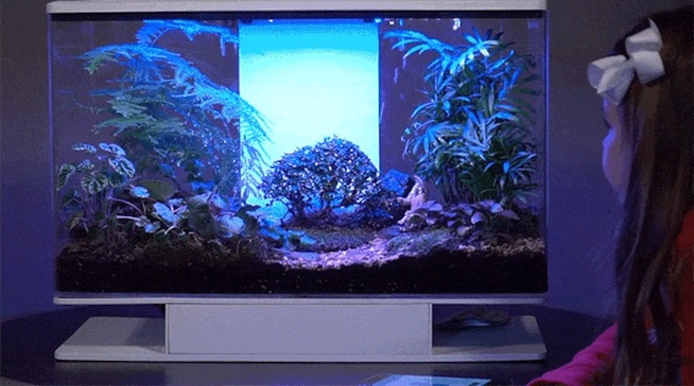 App-controlled terrarium puts on a sound and lightning show