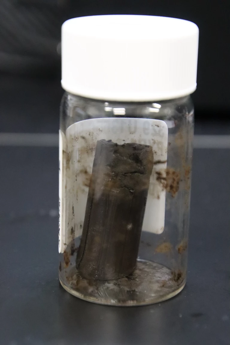 Scientists revive 100-million-year old microbes from deep underground