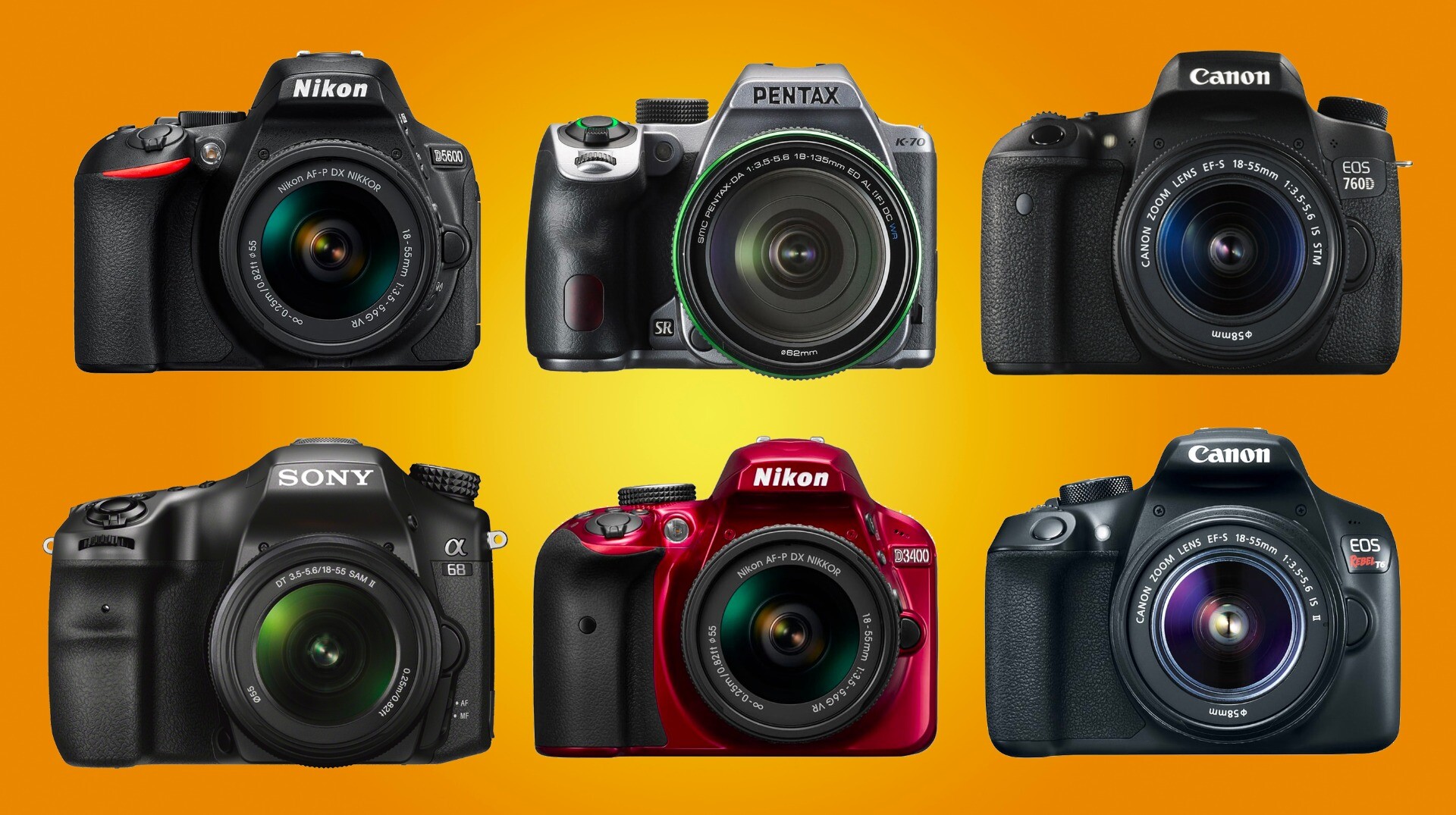 The best DSLR cameras for beginners