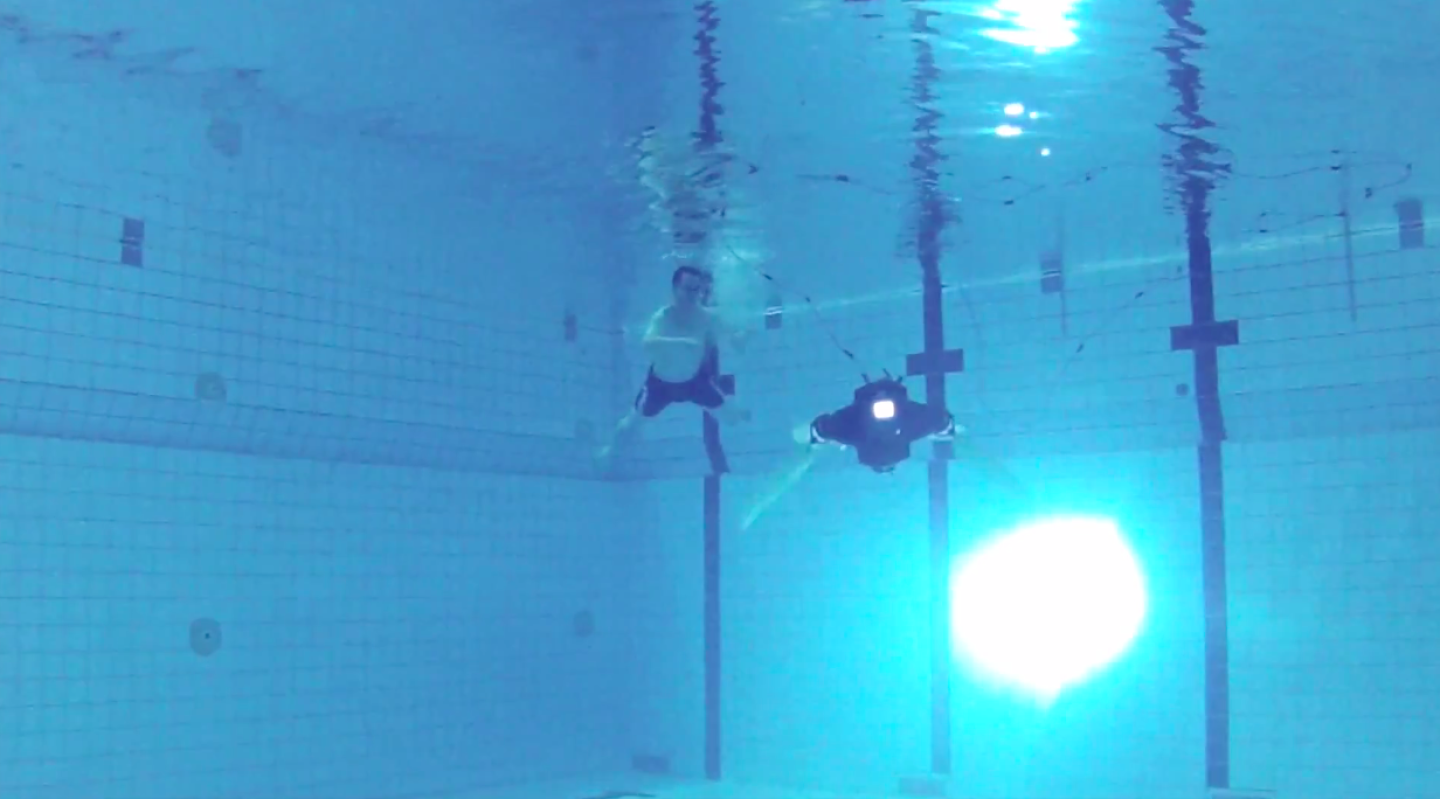 Robot sea turtle takes first dip in the pool