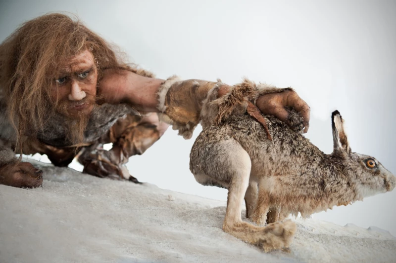 Were toothpicks served up at caveman dinner parties?