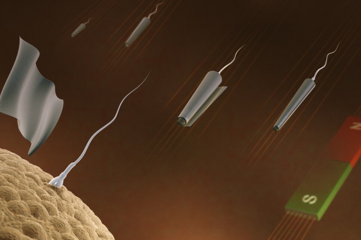 Remote-controlled spermbots could be used to fertilize eggs