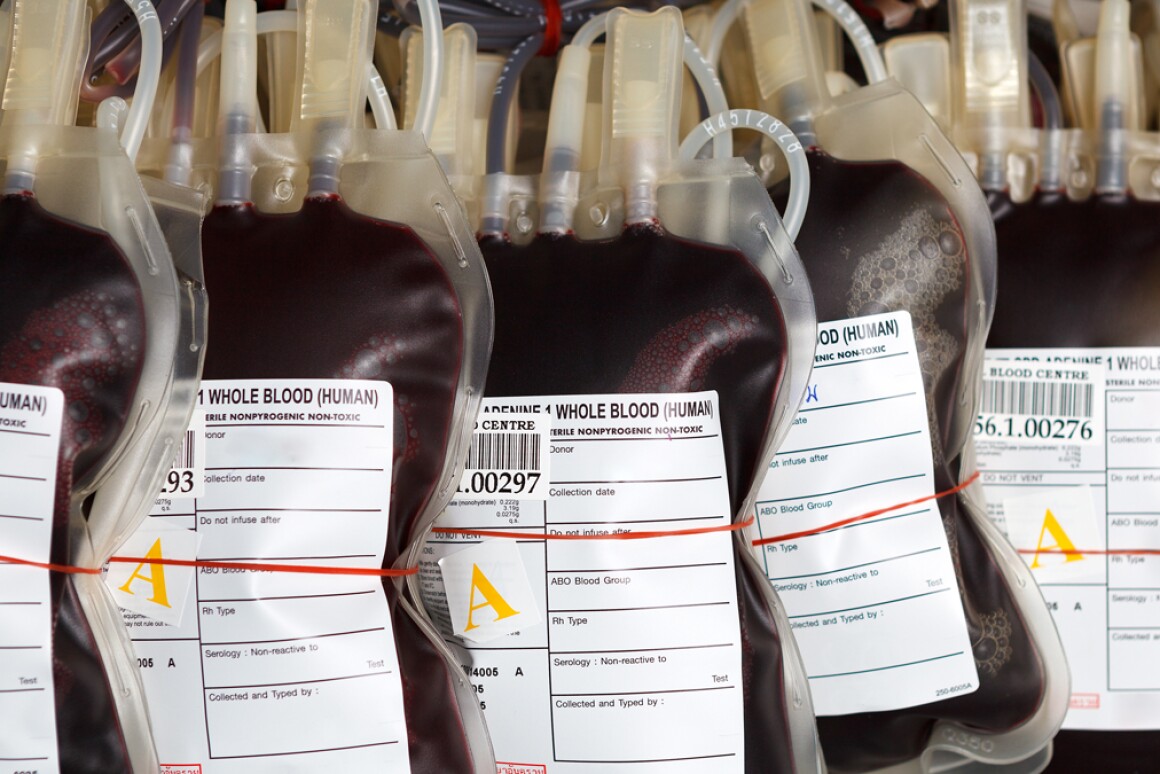 Artificial human blood substitute could help meet donor blood shortfall