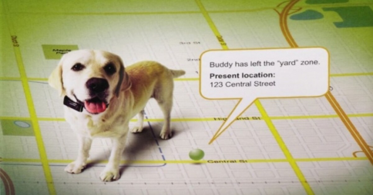 Zoombak Assisted GPS Locators hit the market