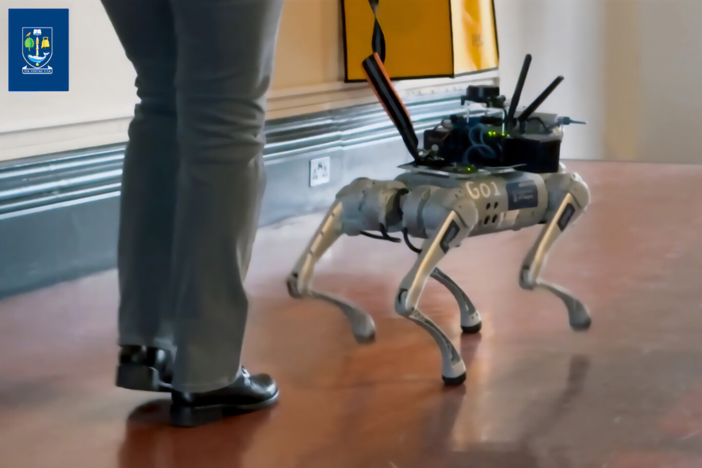 The Seeing Eye Dog V2.0 is shaping up as a gamechanger