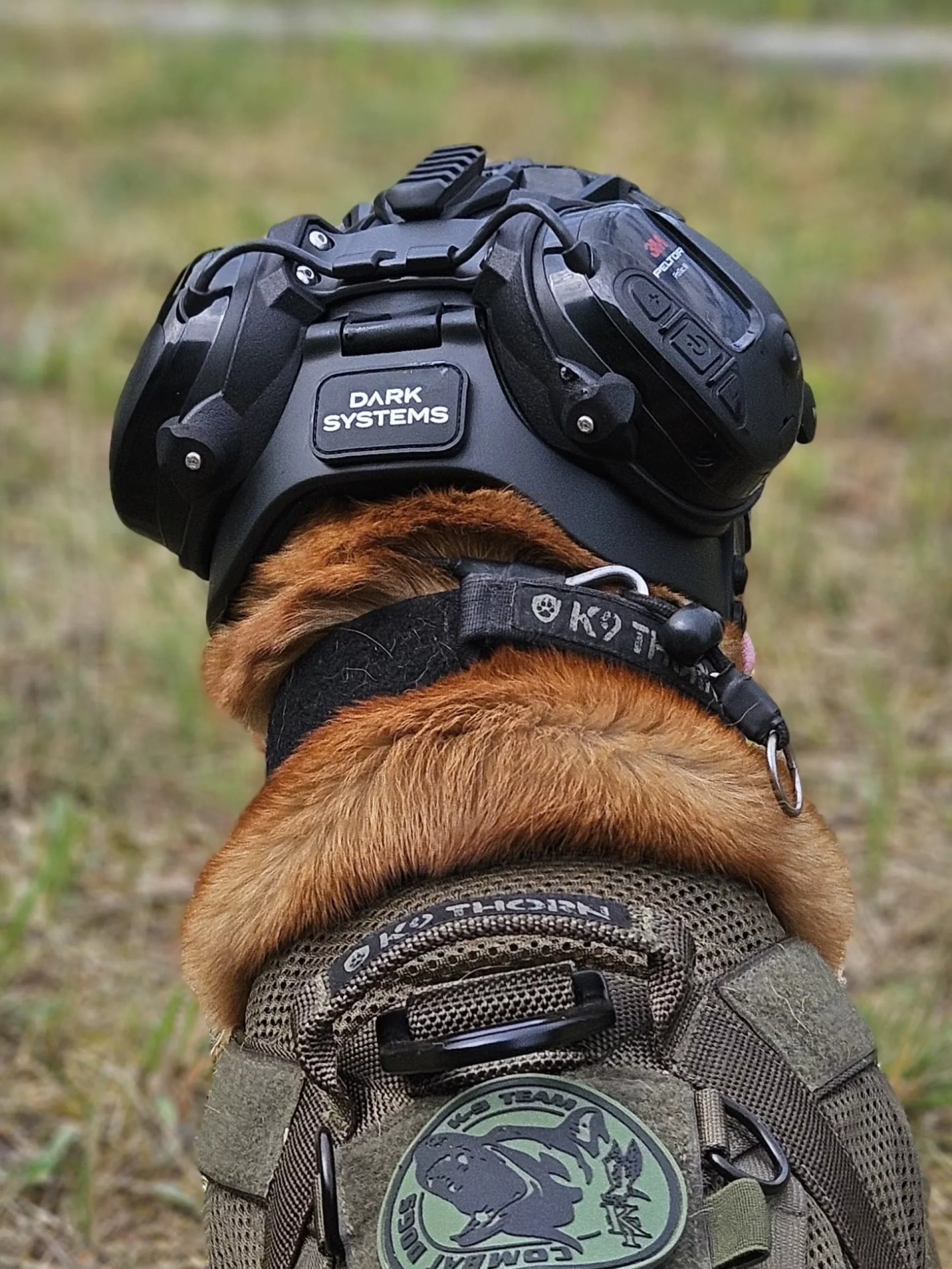 K9 GEN4 'hel-mutt' protects action dogs