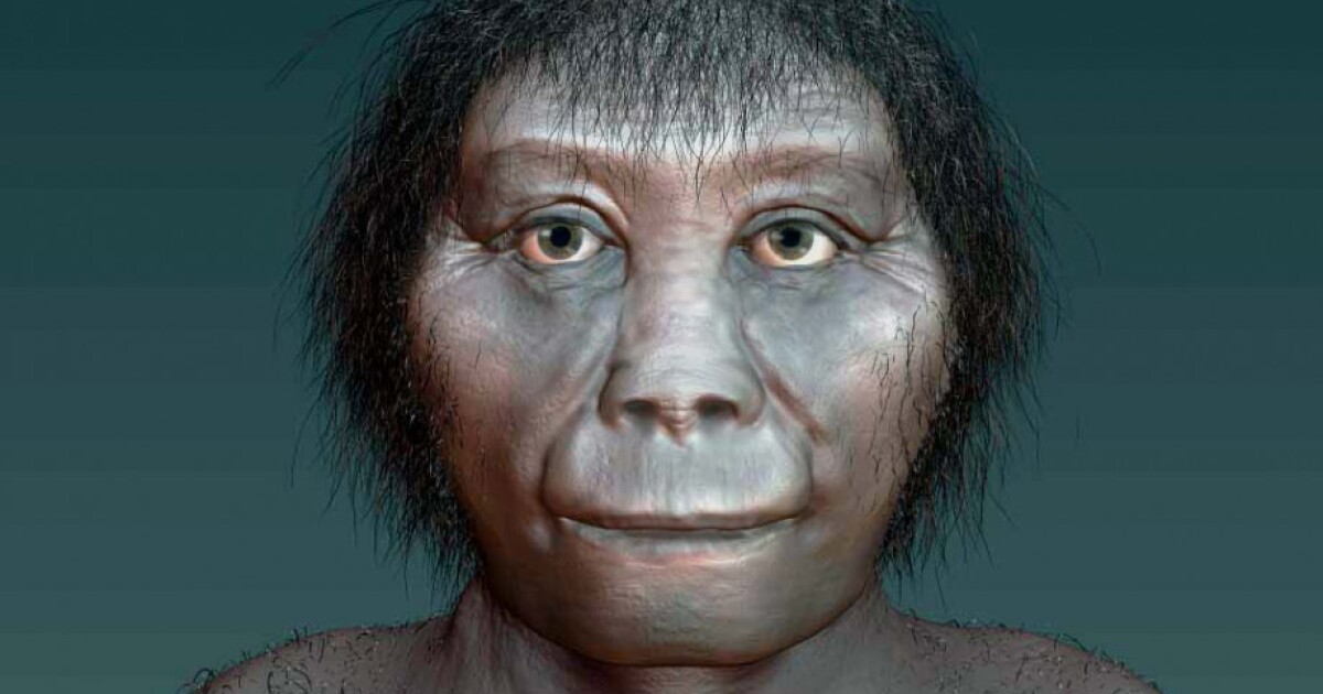 "Hobbit" humans may finally have a place in the family tree